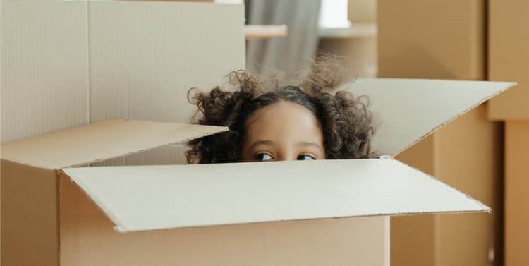 Corrugated Packaging Industry Representatives - Fibre Box Association